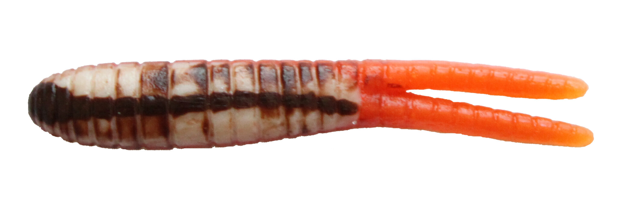 Brown Crawfish Beetle Grubs - Rocky Mountain Tackle